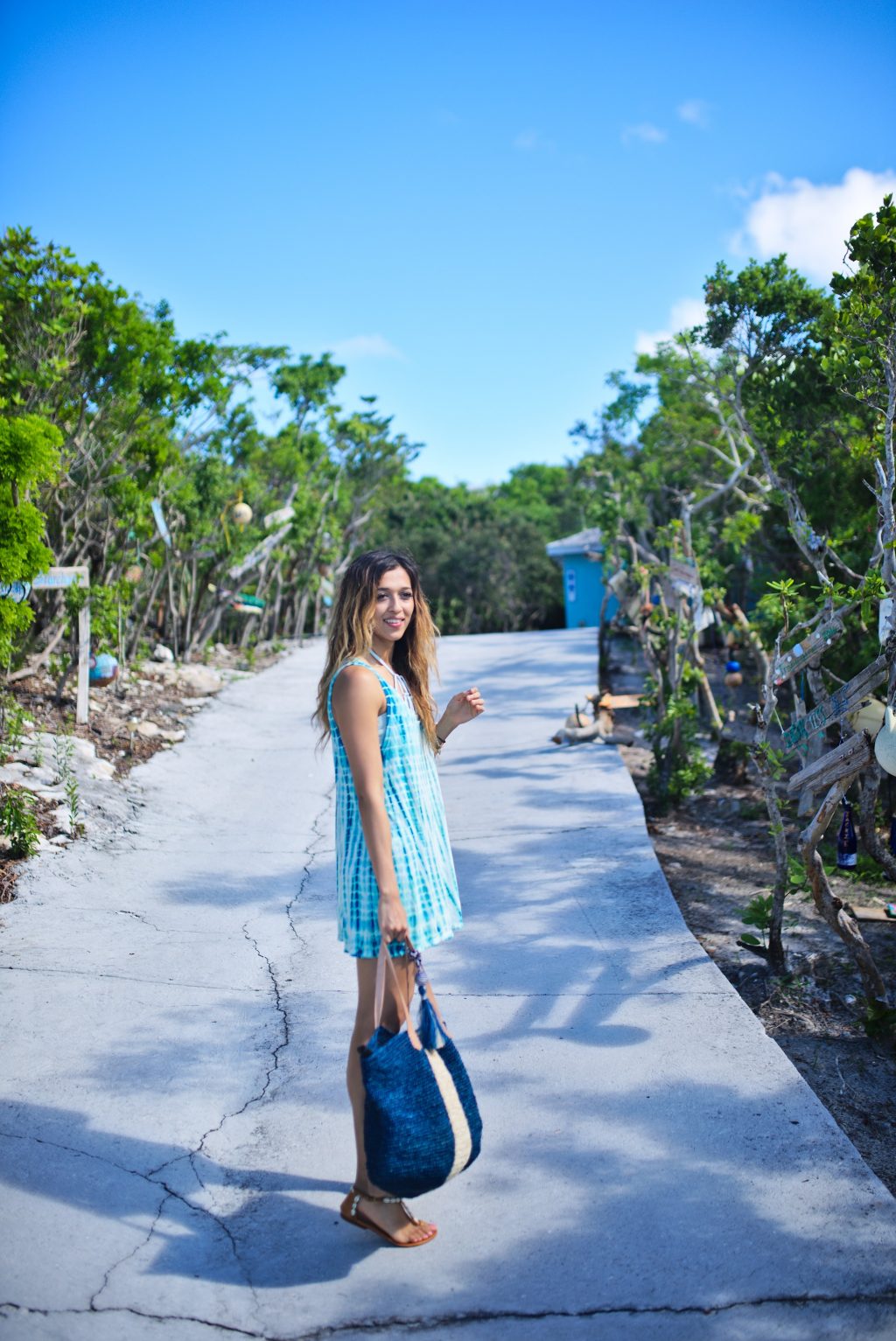 Nurse Sharks and Sandbars - Jyo Shankar