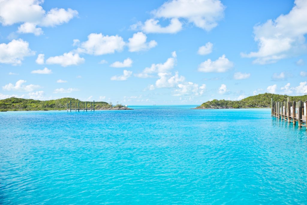 Nurse Sharks and Sandbars - Jyo Shankar