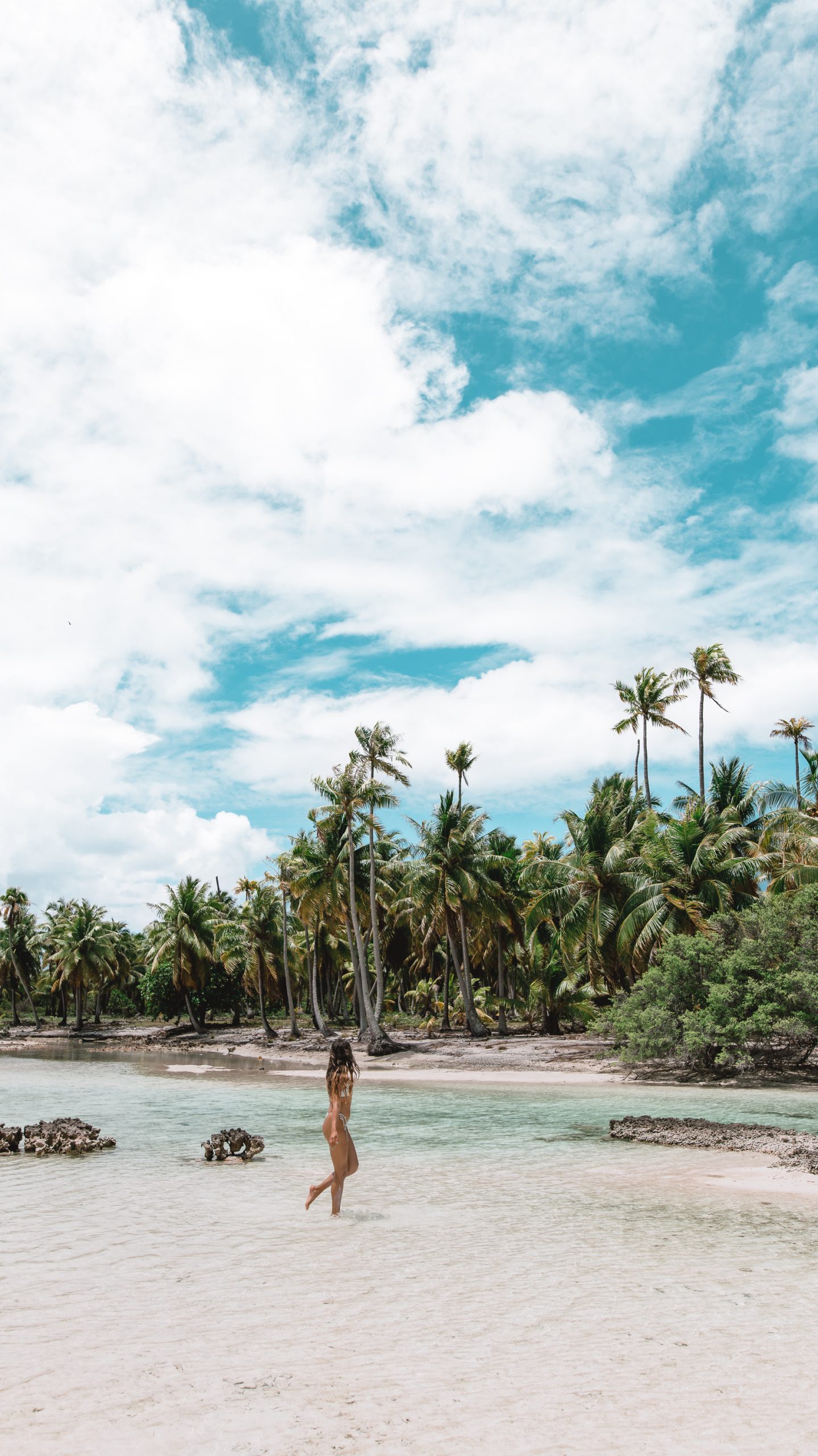 The must do activity in Tikehau : Tikehau Lagoon Excursion - Jyo Shankar