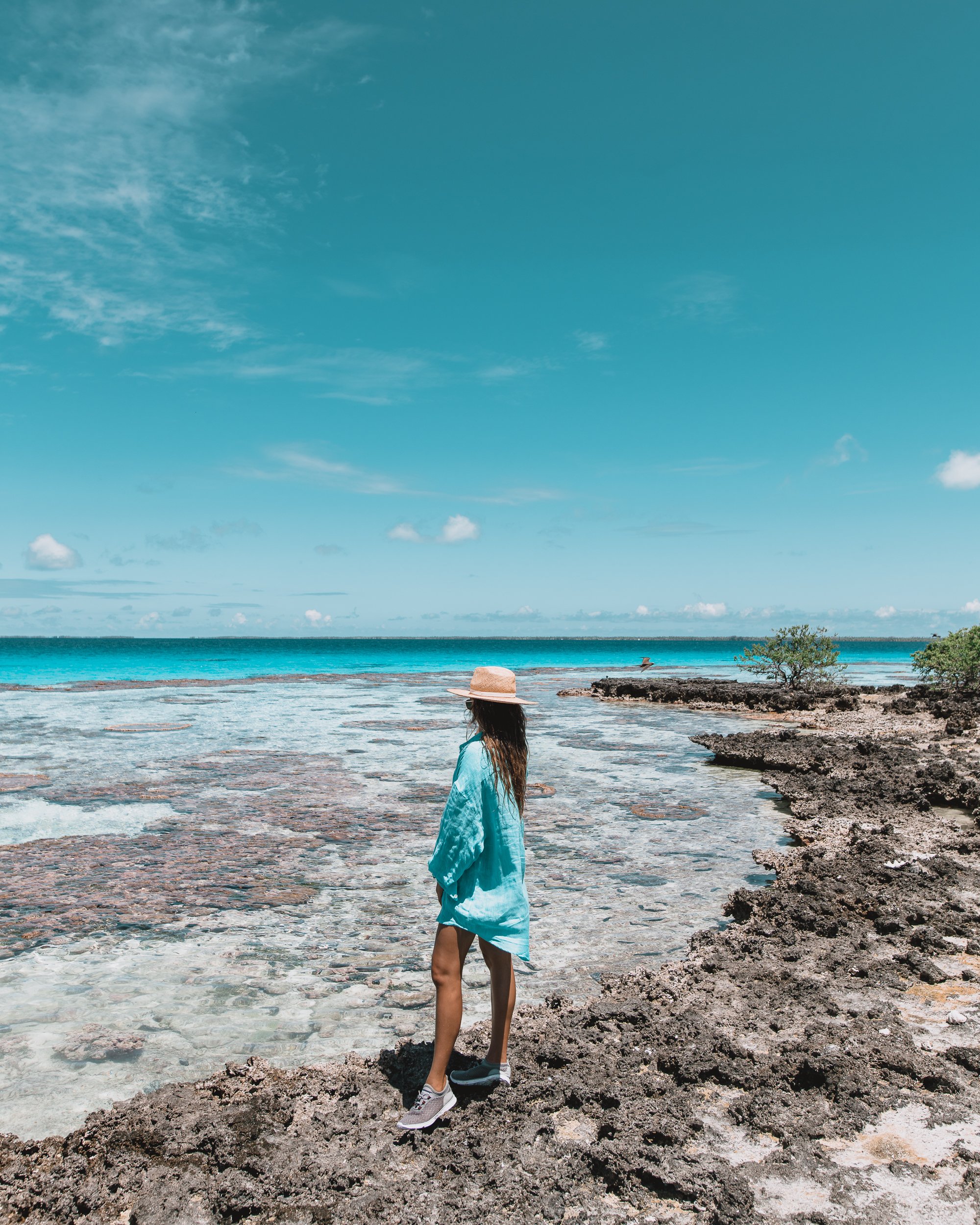 The must do activity in Tikehau : Tikehau Lagoon Excursion - Jyo Shankar
