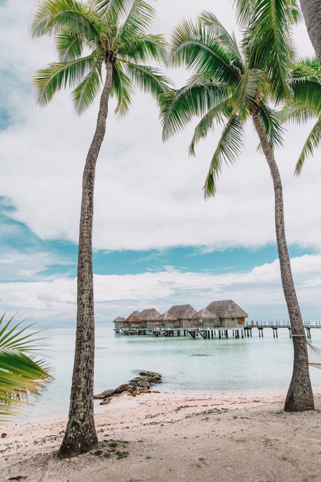 The must do activity in Tikehau : Tikehau Lagoon Excursion - Jyo Shankar