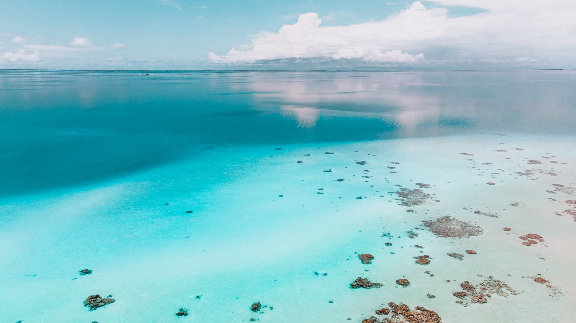 The must do activity in Tikehau : Tikehau Lagoon Excursion - Jyo Shankar